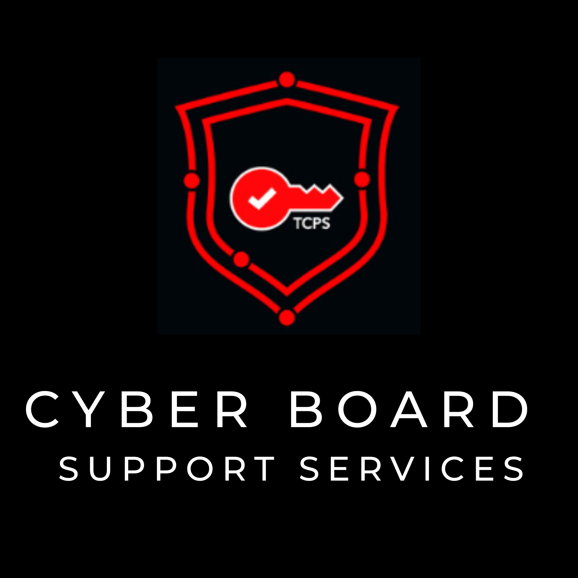Board of Director Cyber Support Services